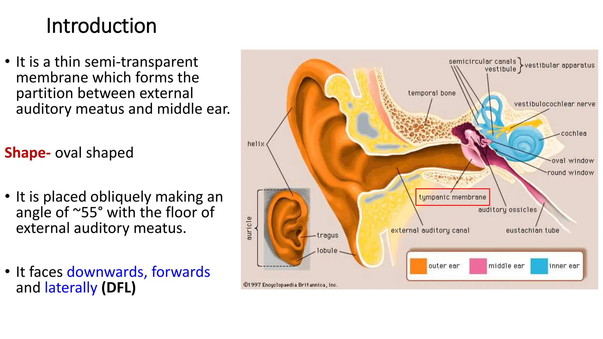 anatomi telinga- materi THT-KL- anatomi.pdf
