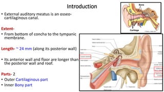 anatomi telinga- materi THT-KL- anatomi.pdf