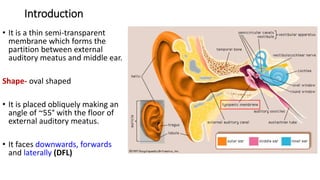 anatomi telinga- materi THT-KL- anatomi.pdf