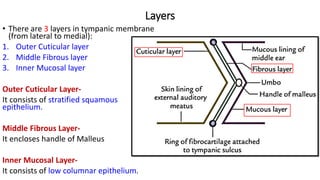 anatomi telinga- materi THT-KL- anatomi.pdf