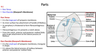 anatomi telinga- materi THT-KL- anatomi.pdf