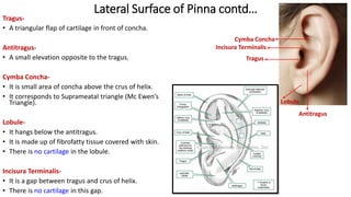 anatomi telinga- materi THT-KL- anatomi.pdf