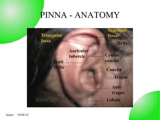 Earache discharge and ear ache | ODP