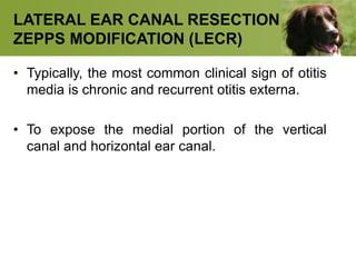 Ear affections | PPTX