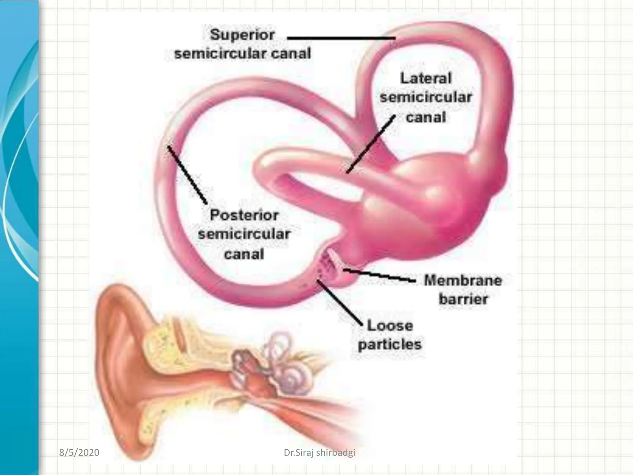 ear anatomy external middle and inner.pptx