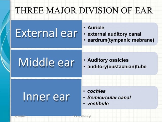 ear anatomy external middle and inner.pptx