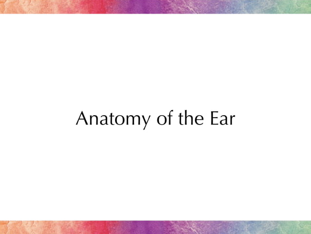 Ear Anatomy PPT Test | PPT