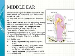 earanatomy-190219150351.pdf