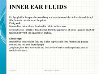 earanatomy-190219150351.pdf
