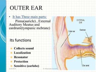 earanatomy-190219150351.pdf