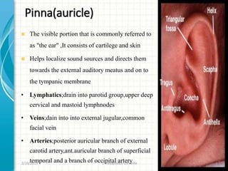 earanatomy-190219150351.pdf