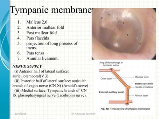 earanatomy-190219150351.pdf