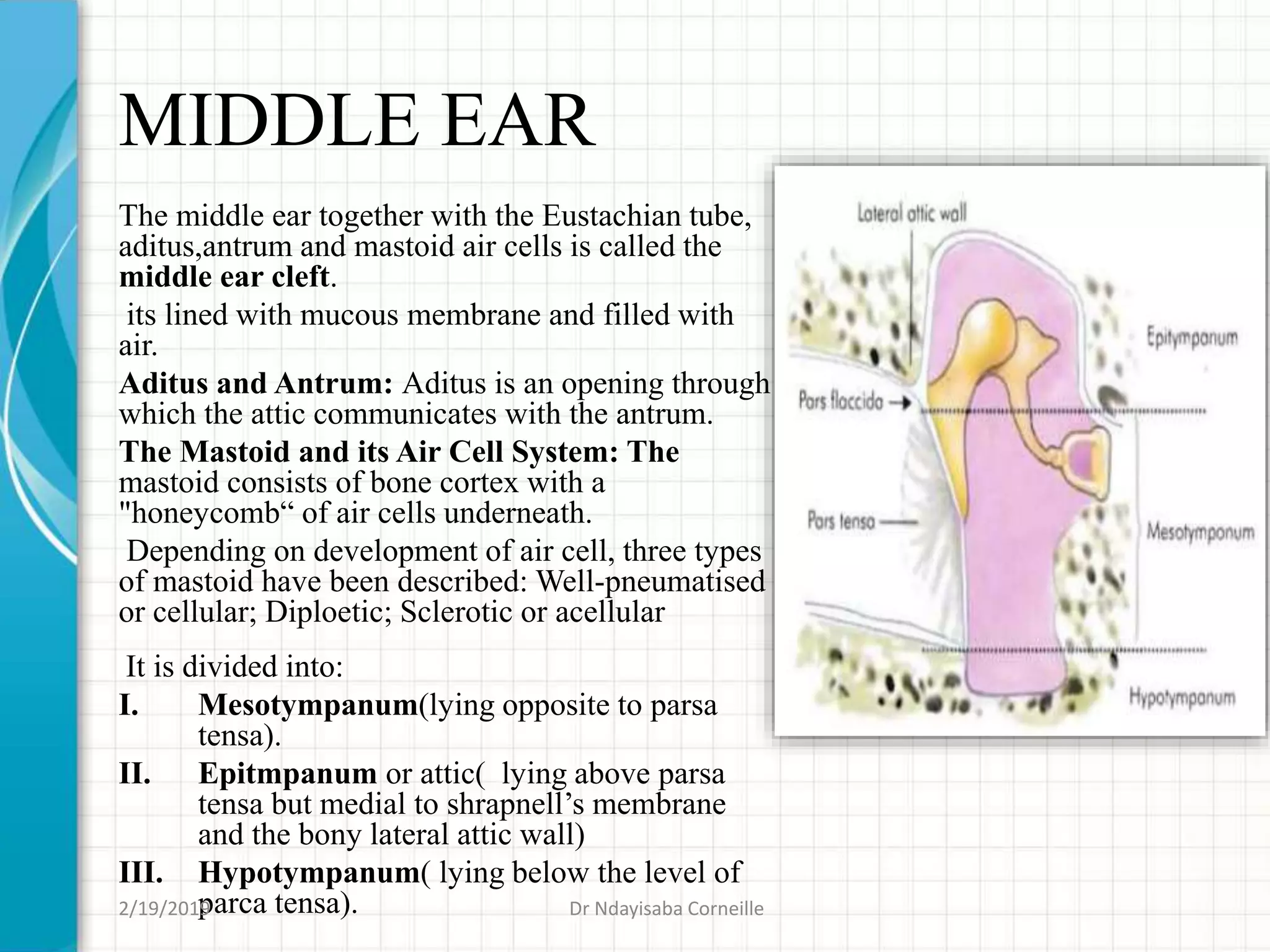 Ear Anatomy | PPTX