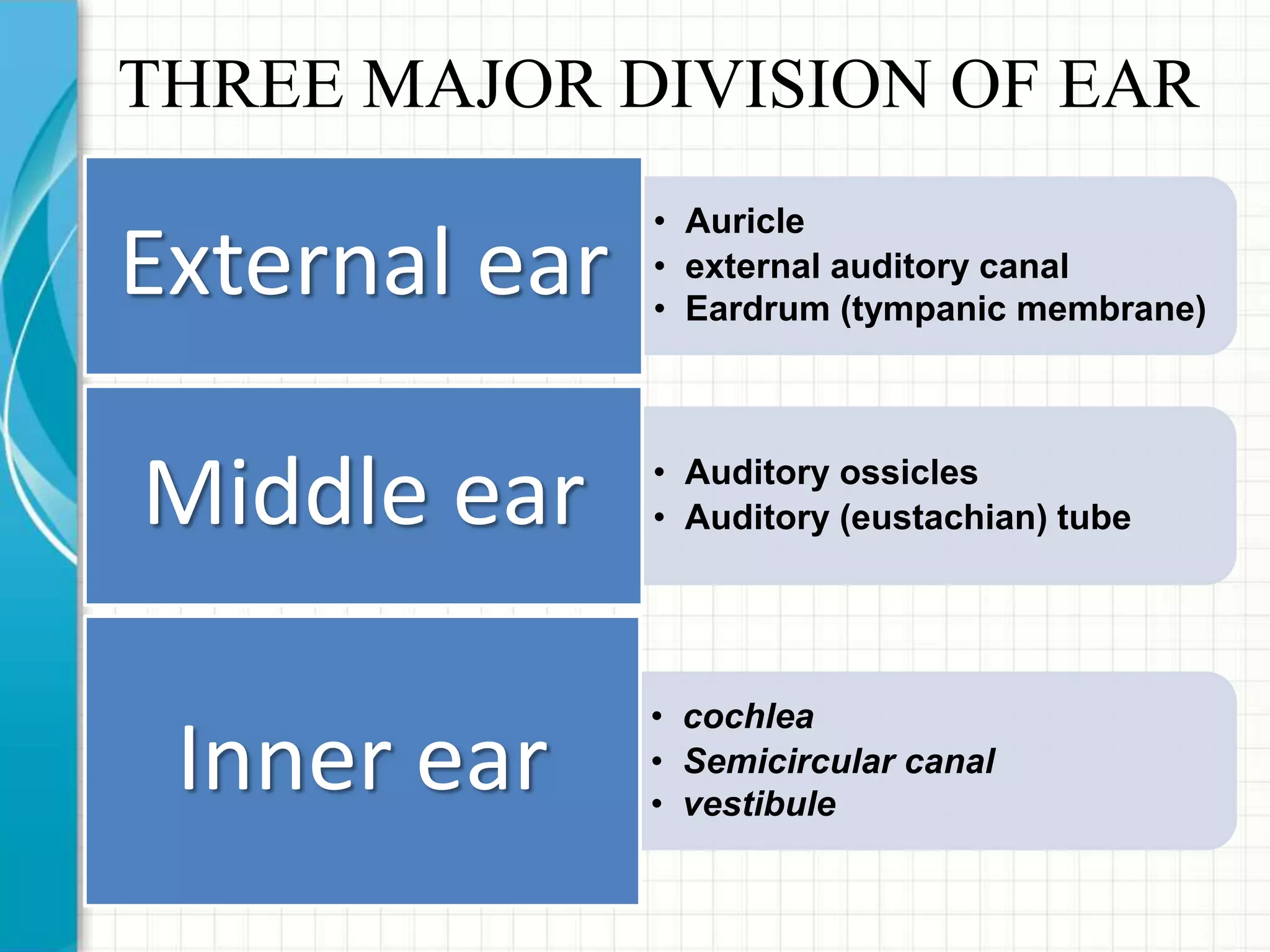 ear anatomy.pptx