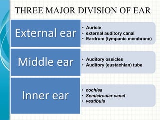 ear anatomy.pptx