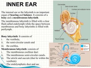 ear anatomy.pptx