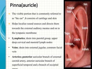 ear anatomy.pptx