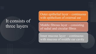 EAR ANATOMY.pdf 1st prof anatomy of human ear | PDF