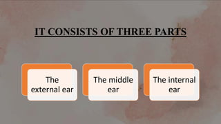 EAR ANATOMY.pdf 1st prof anatomy of human ear | PDF
