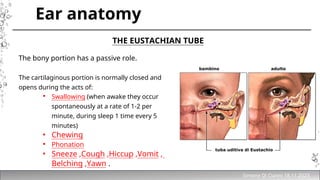 ear anatomy and its blood and nerve supply.pdf