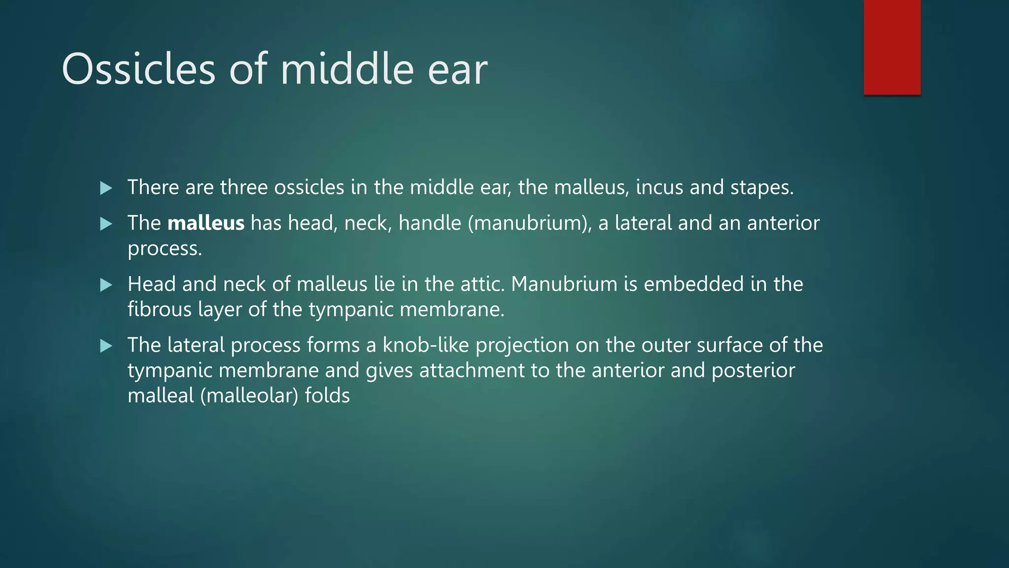 Ear anatomy (1)-1.pptx