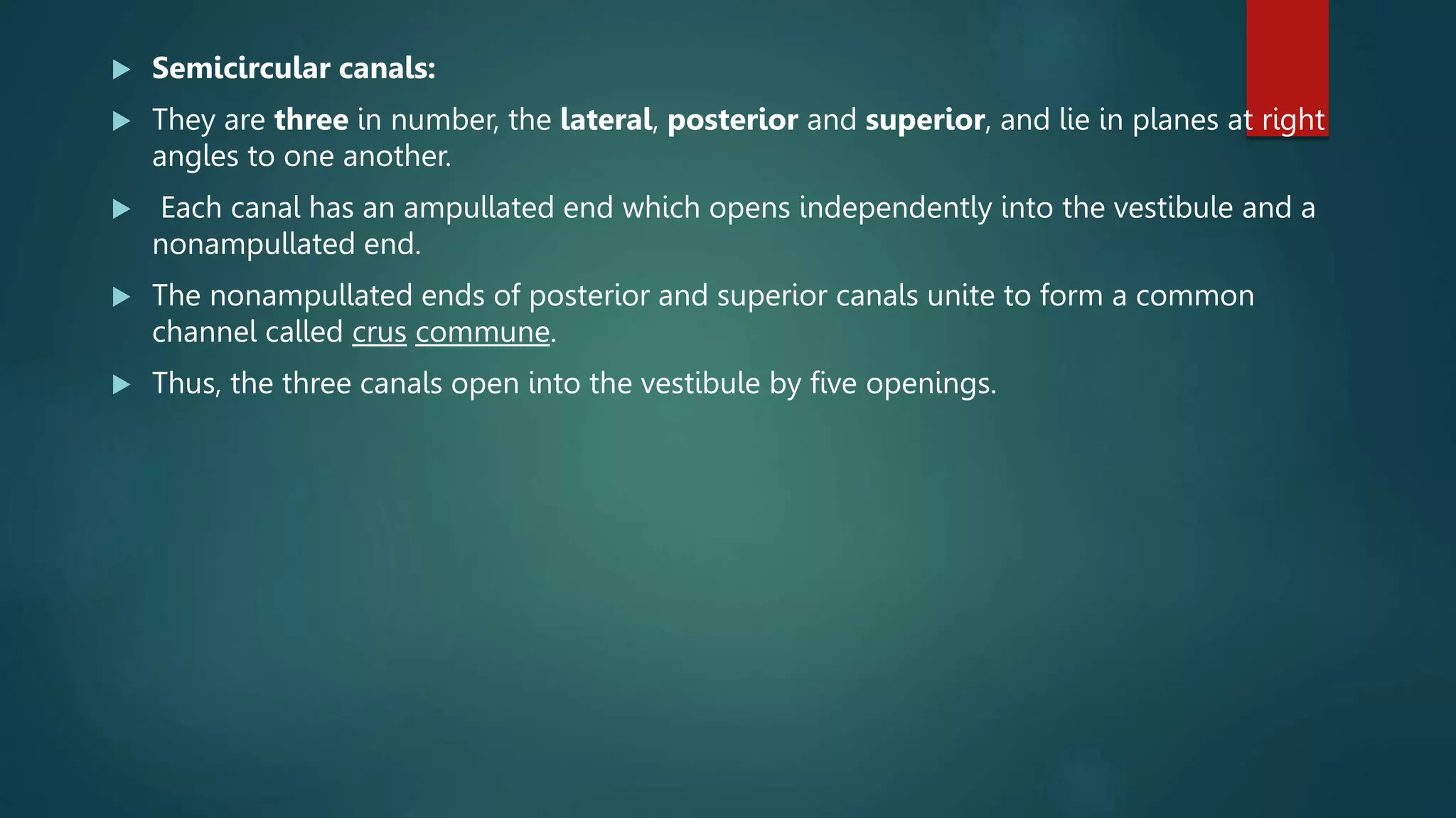Ear anatomy (1)-1.pptx