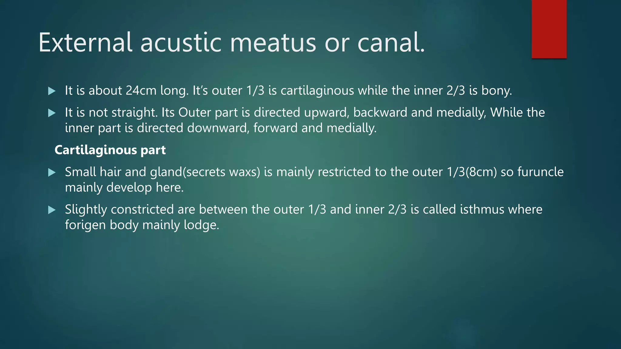 Ear anatomy (1)-1.pptx