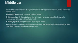 Ear anatomy (1)-1.pptx