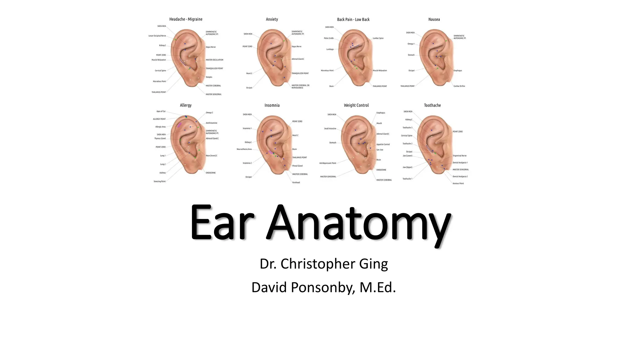 Ear Anatomy power point presentation and trigeminocervical nucleus | PPTX