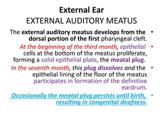 Ear Anatomy and Ebryology in plastic surgery.pptx