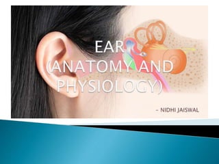 EAR ANATOMY AND PHYSIOLOGY.pptx put your ear down next to your soul and ...