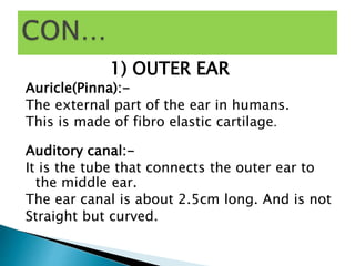 EAR ANATOMY AND PHYSIOLOGY.pptx put your ear down next to your soul and ...