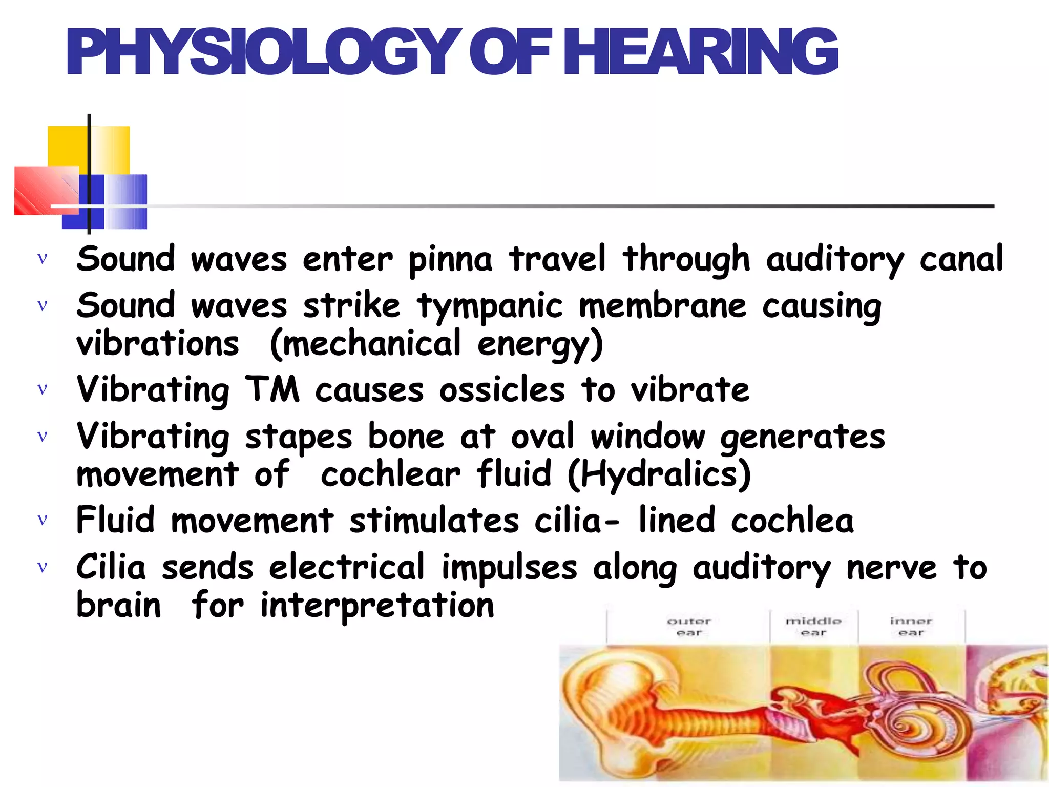 Ear Anatomy & Physiology | PPTX