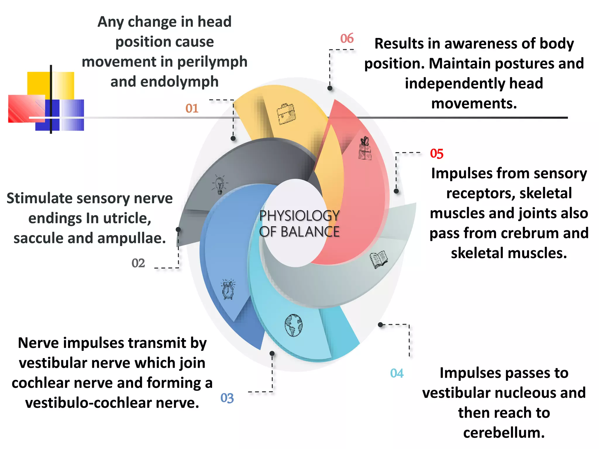 Ear Anatomy & Physiology | PPTX | Digital Audio | Computer Software and ...