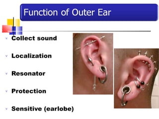 Ear Anatomy & Physiology | PPTX | Digital Audio | Computer Software and Applications