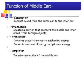 Ear Anatomy & Physiology | PPTX