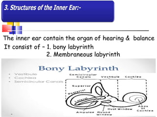 Ear Anatomy & Physiology | PPTX | Digital Audio | Computer Software and Applications