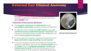 EAR ANATOMY CLASS showing divisions of ear | PPTX