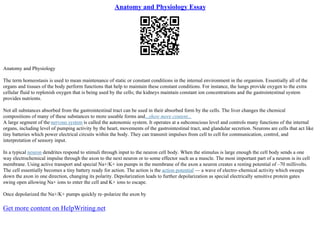 Ear Anatomy Essay | PDF