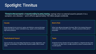 Comprehensive Scientific Presentation on Human Ear Anatomy and Hearing ...