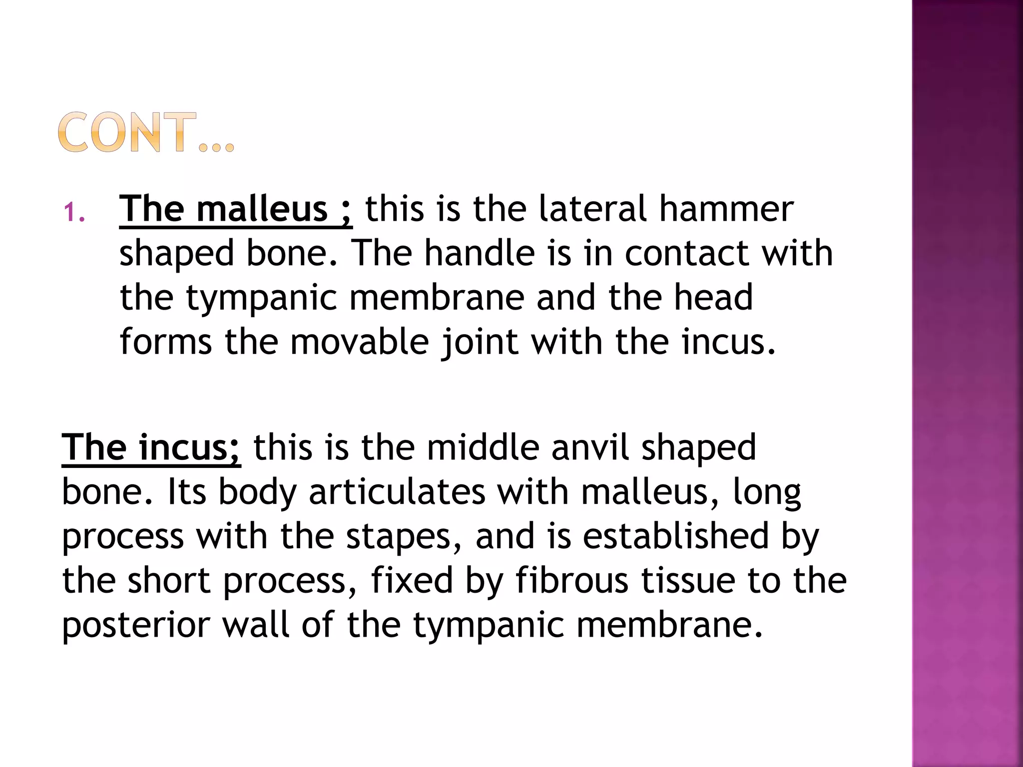EAR AND BALANCE.pptx