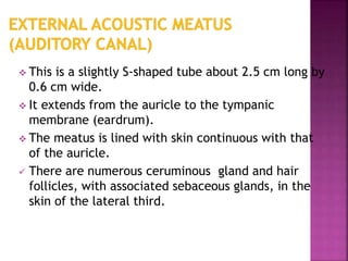 EAR AND BALANCE.pptx