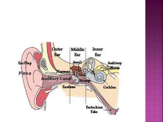 EAR AND BALANCE.pptx