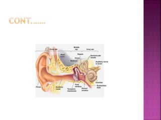 EAR AND BALANCE.pptx