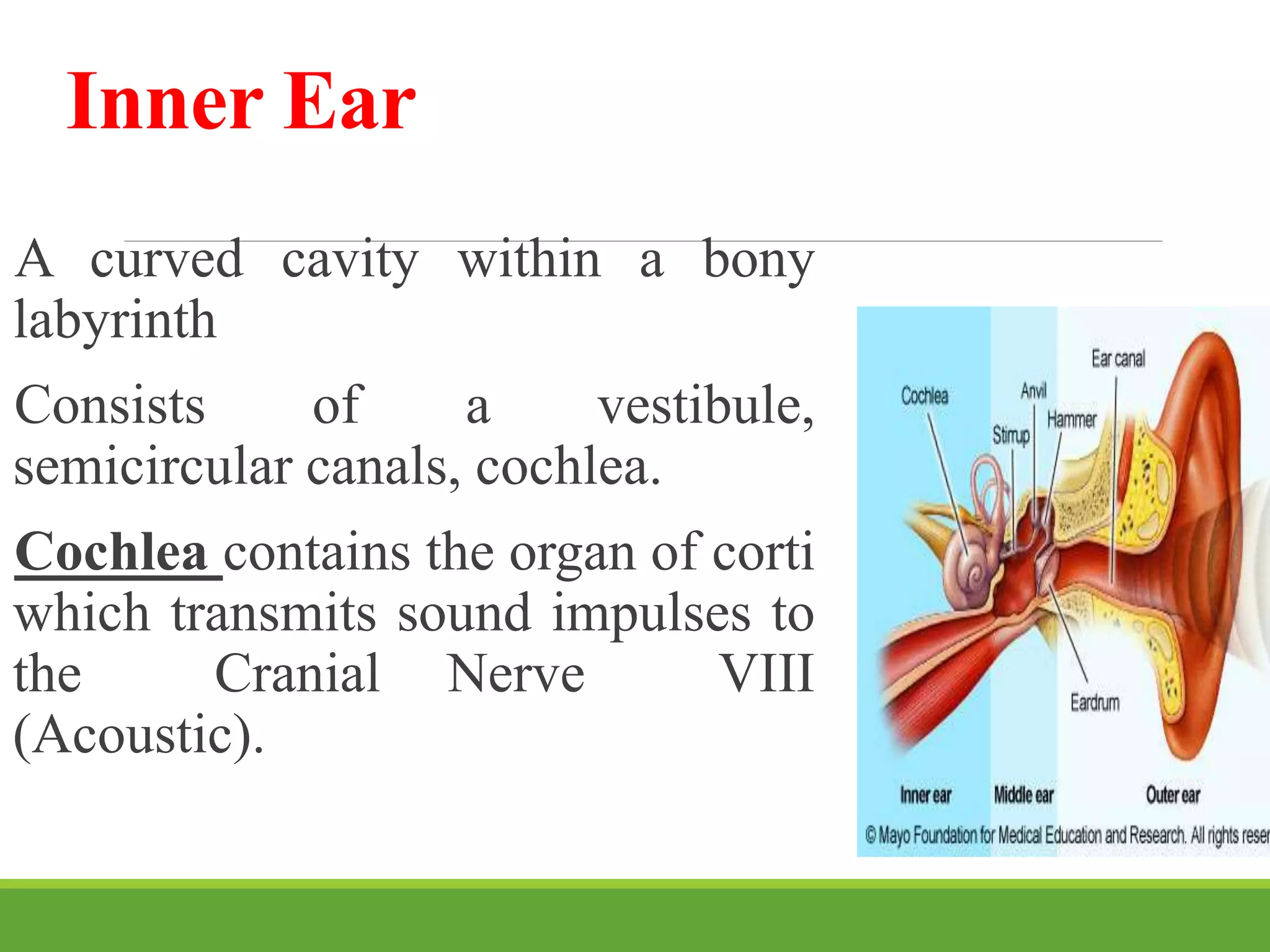 Ear assessment.pptx
