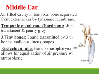 Ear assessment.pptx
