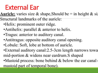 Ear assessment.pptx