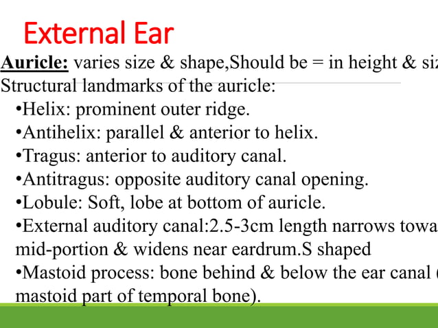Ear assessment.pptx | Ear, Nose and Throat Conditions | Diseases and ...