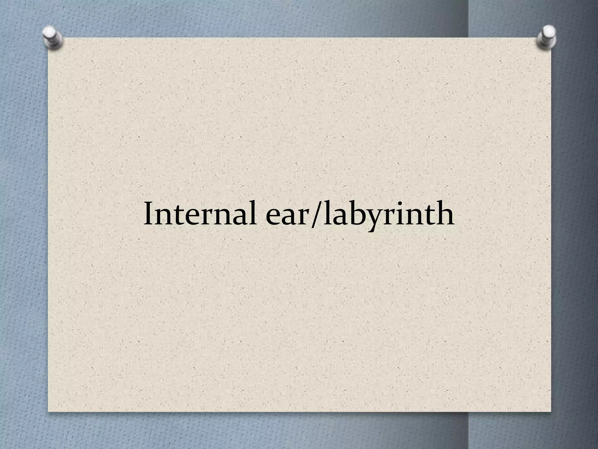 Ear & Auditory pathway | PPTX