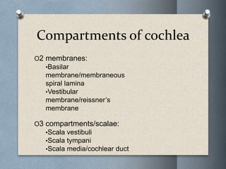 Ear & Auditory pathway | PPTX